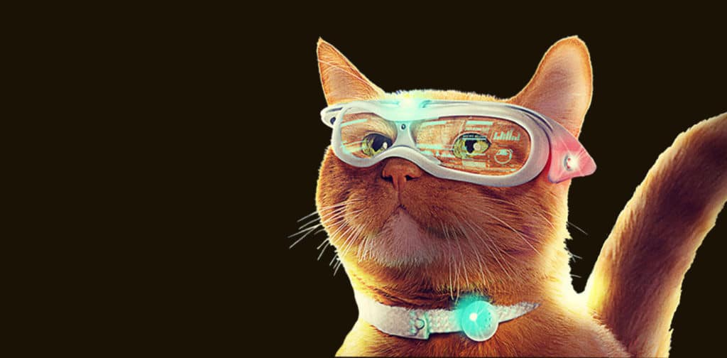TOP Pet Marketing Agency TOP Agency