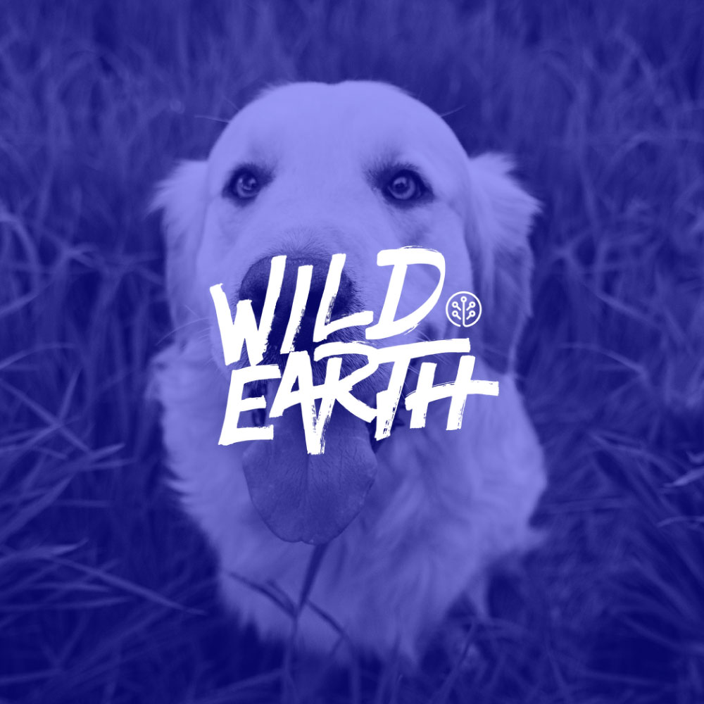 Wild Earth — TOP Agency